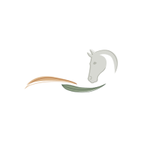 Grounded Steps 2026 – Equine Assisted Therapy and Counselling